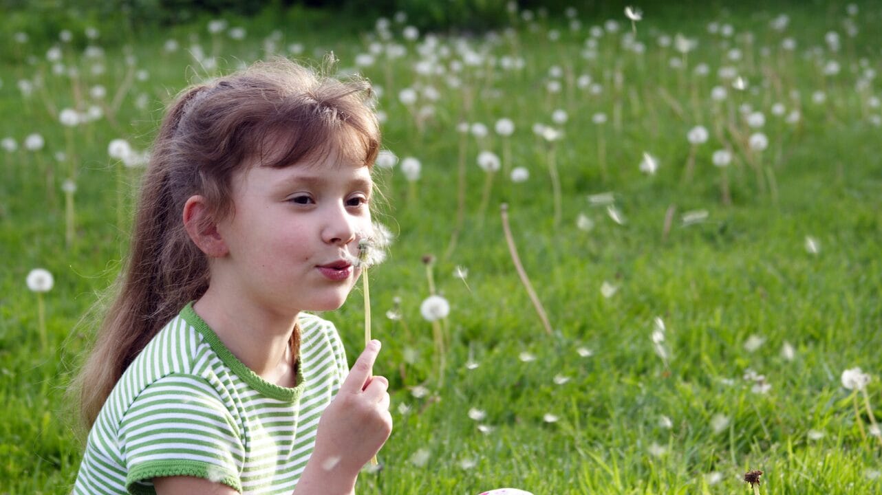 Weed Allergy Treatment in Fresno & Merced | Sierra Allergy